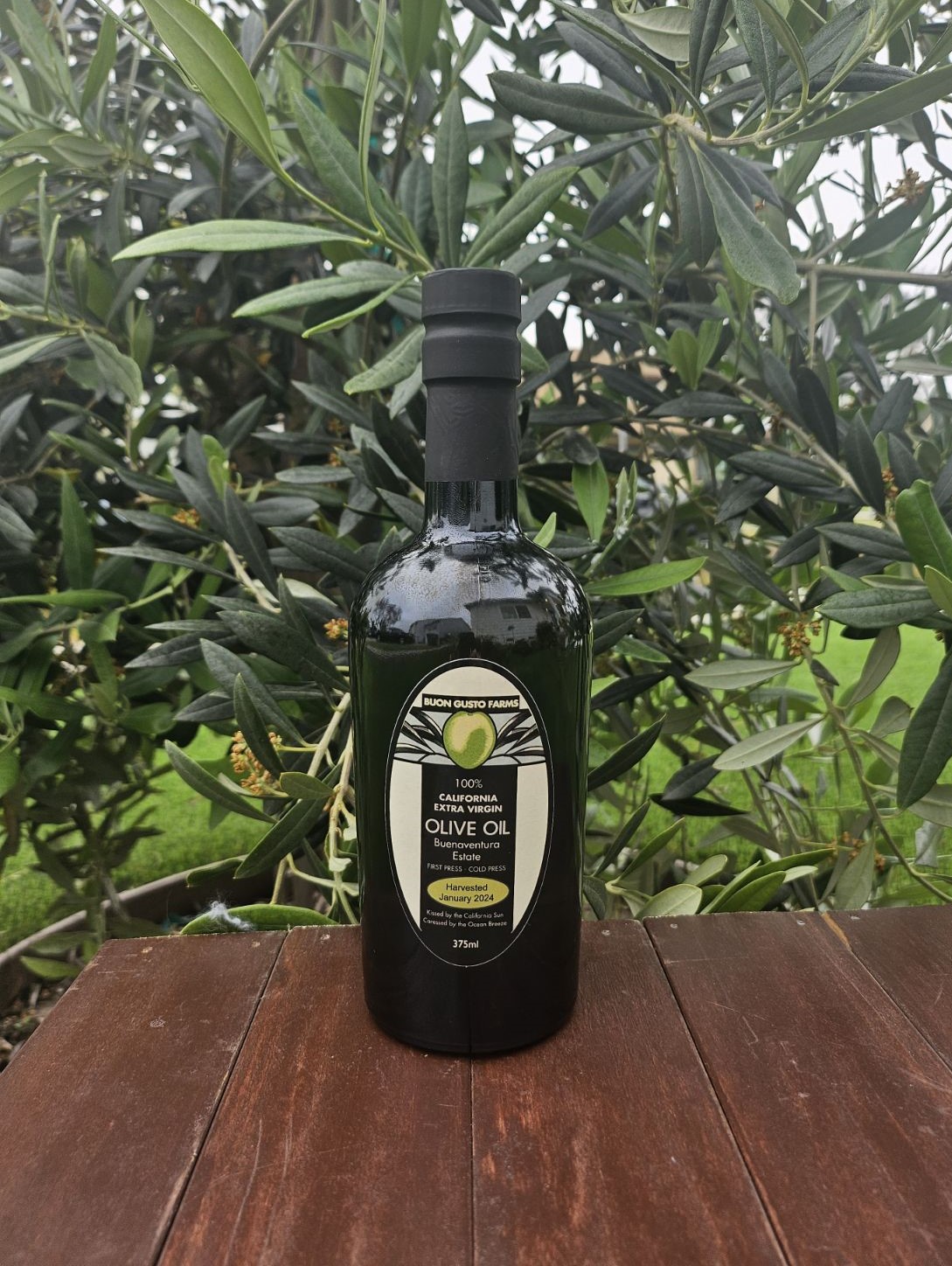 Buon Gusto Farms